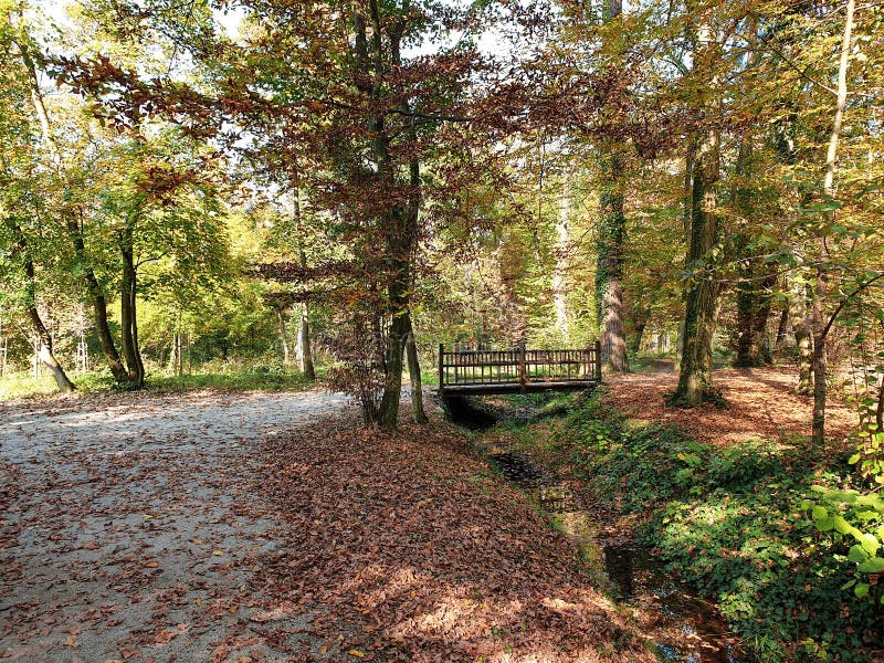 Arbor in the park stock image. Image of branch, country - 162152171