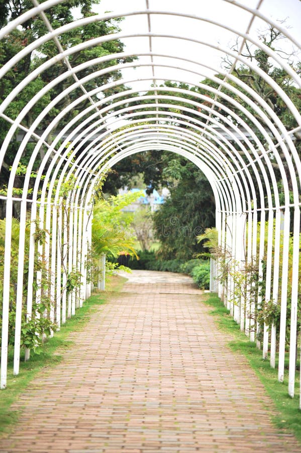 Arbor with path stock photo. Image of aisle, nature, metal - 23749616