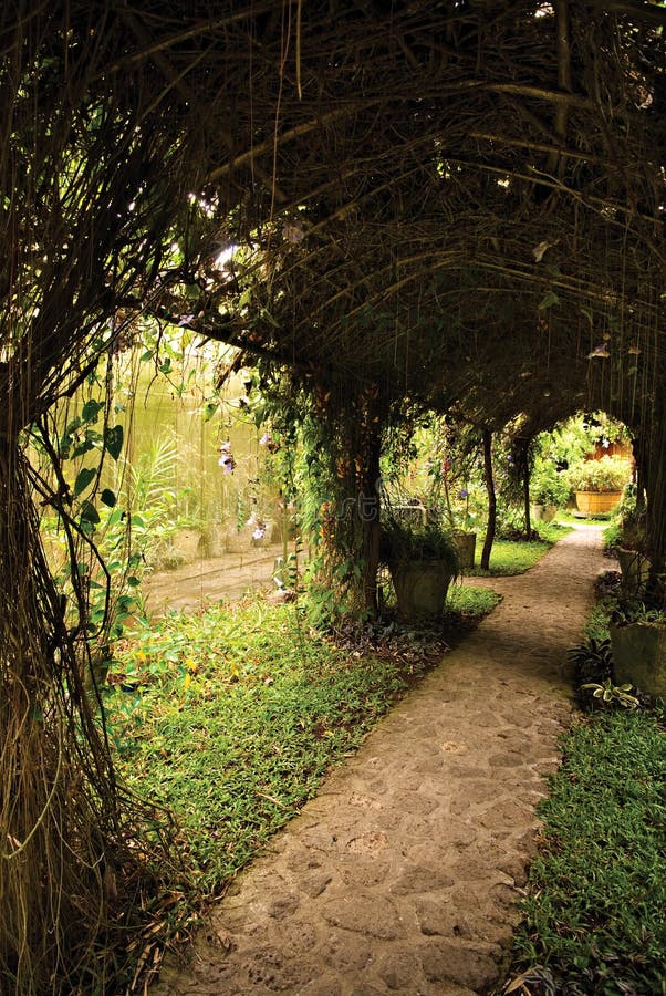 Arbor Trellis Pathway stock photo. Image of green, greenery - 13649580