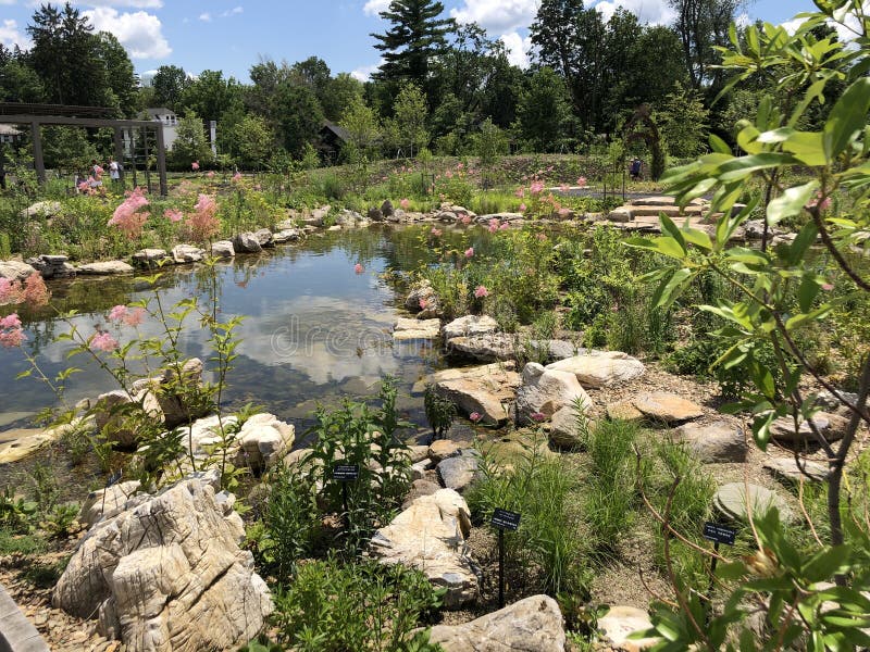 The Arboretum at Penn State Stock Image - Image of penn, state: 224987909