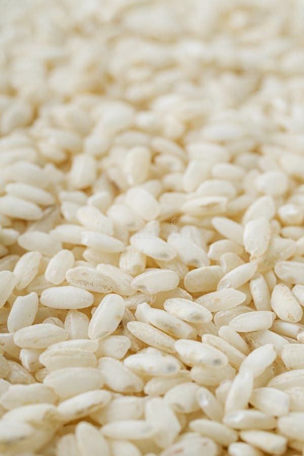 Arborio Rice for Risotto on a White Acrylic Background Stock Photo ...