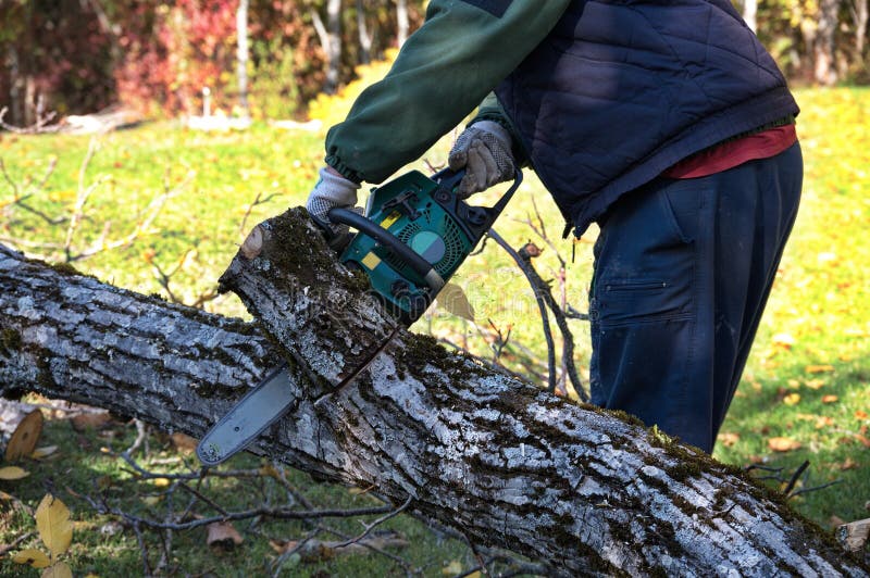 Arborist Man Cutting a Branches Stock Image - Image of closeup, male ...