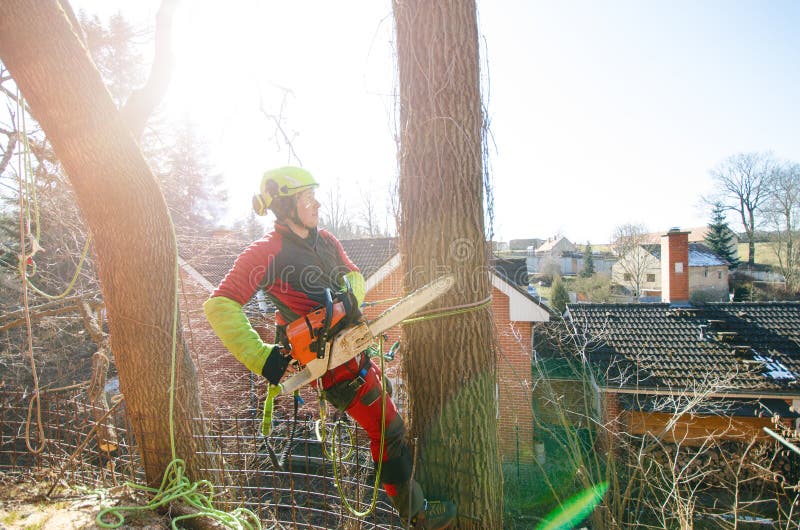 Worker with Helmet Examines Blueprint on Construction Site AIG41 Stock ...