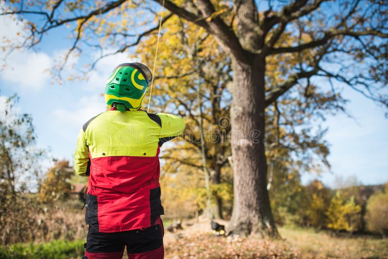 Arborist Man Preparing for Climbing on a Tree. the Worker with Helmet ...