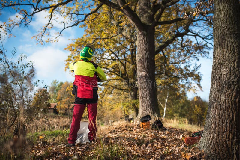 Arborist Man Preparing for Climbing on a Tree. the Worker with Helmet ...