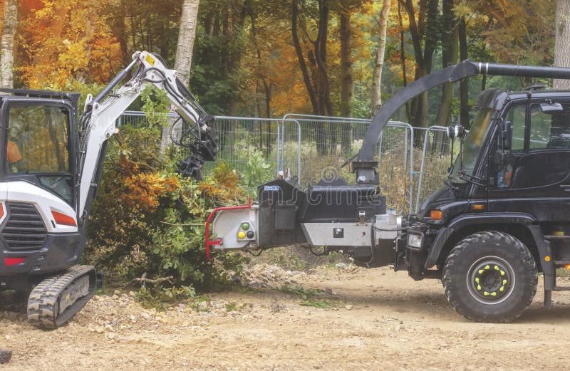 Arborist Putting Tree Branches into Wood Chipper Stock Image - Image of ...