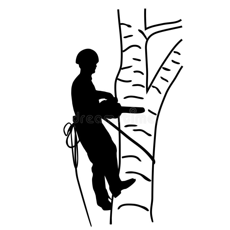 Arborist Stock Illustrations – 500 Arborist Stock Illustrations ...