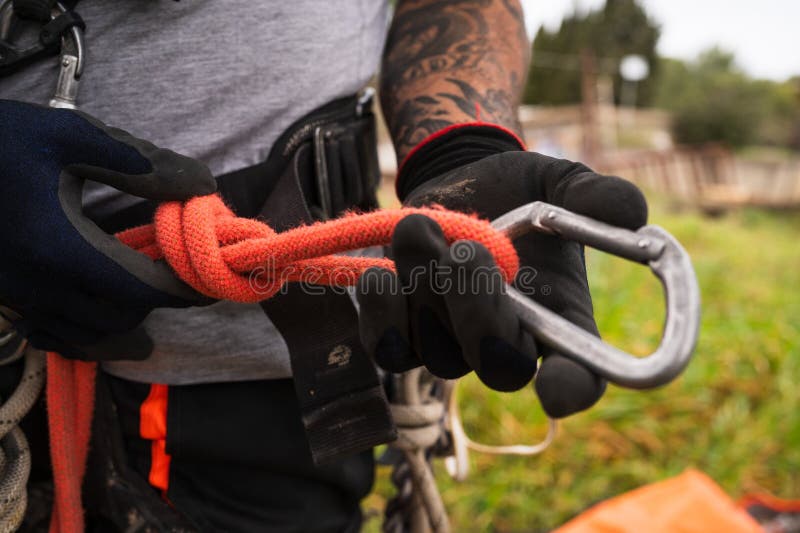 Skilled Arborist Using Rope Access Techniques for Tree Maintenance ...