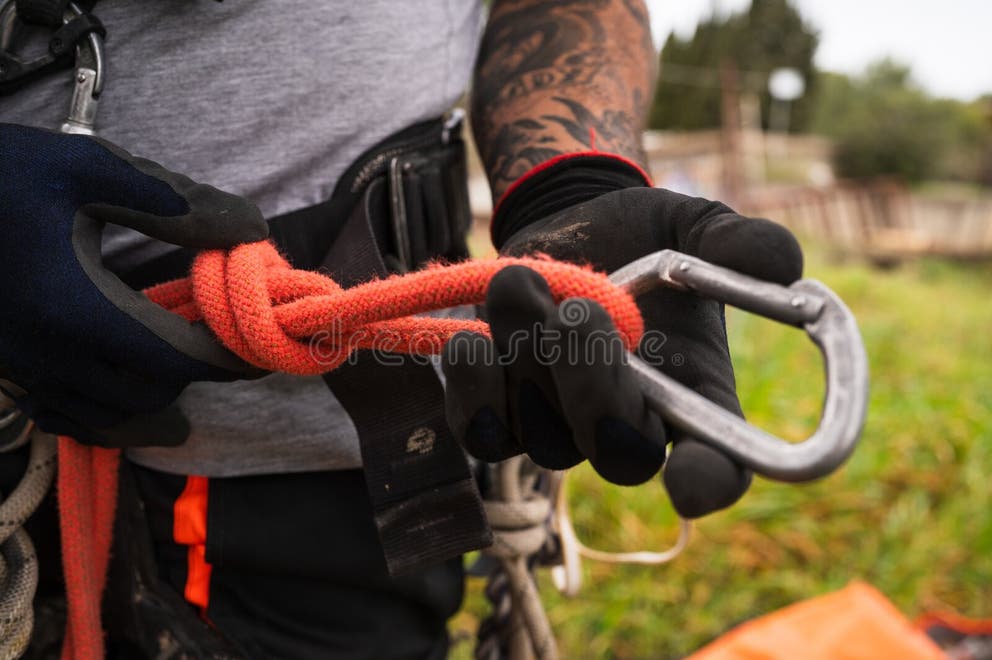 Skilled Arborist Using Rope Access Techniques for Tree Maintenance ...