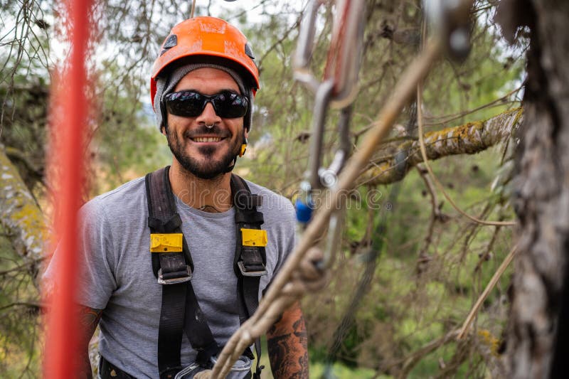 Arborist Smiling and Pruning Trees Using Rope Access Techniques Stock ...