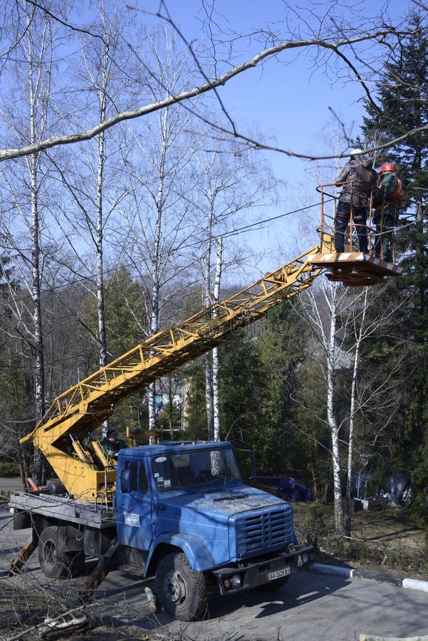 Arborists Cut Branches of a Tree Using Truck-mounted Lift Editorial ...