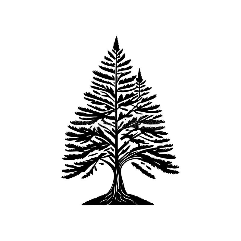Arborvitae Icon Hand Draw Black Colour Tree Day Logo Symbol Perfect ...