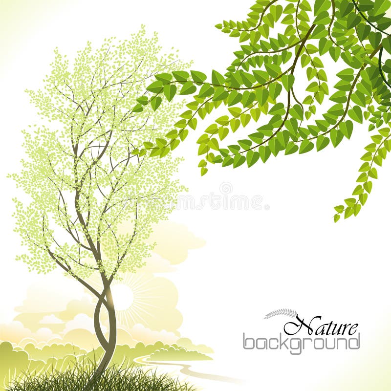 Arbre au printemps illustration de vecteur. Illustration du herbe ...