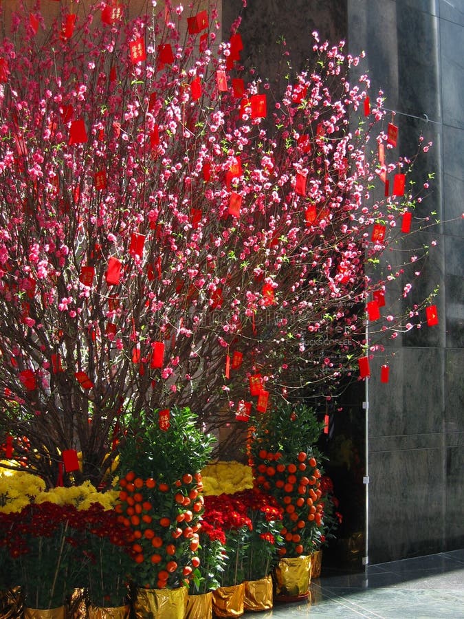 Arbre Chinois 2 D'argent D'an Neuf Image stock - Image du fleur, fleurs ...