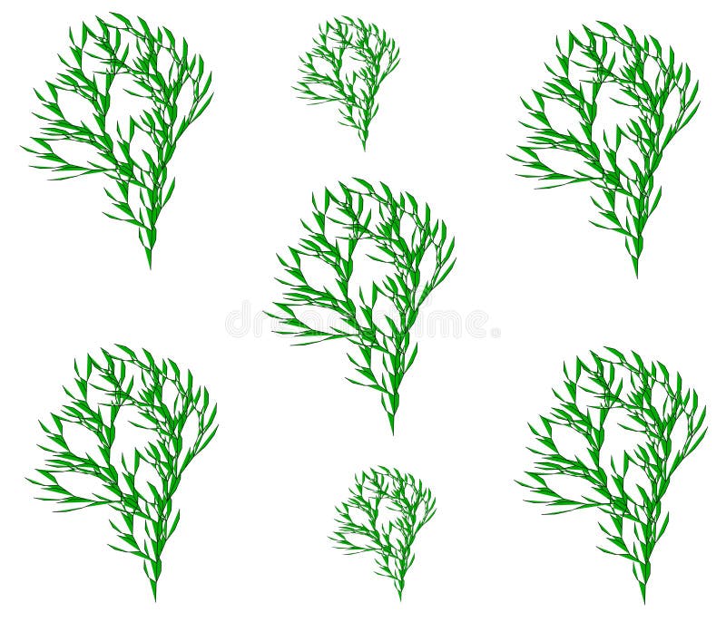 Arbre de dessin, pousse illustration de vecteur. Illustration du cadre ...