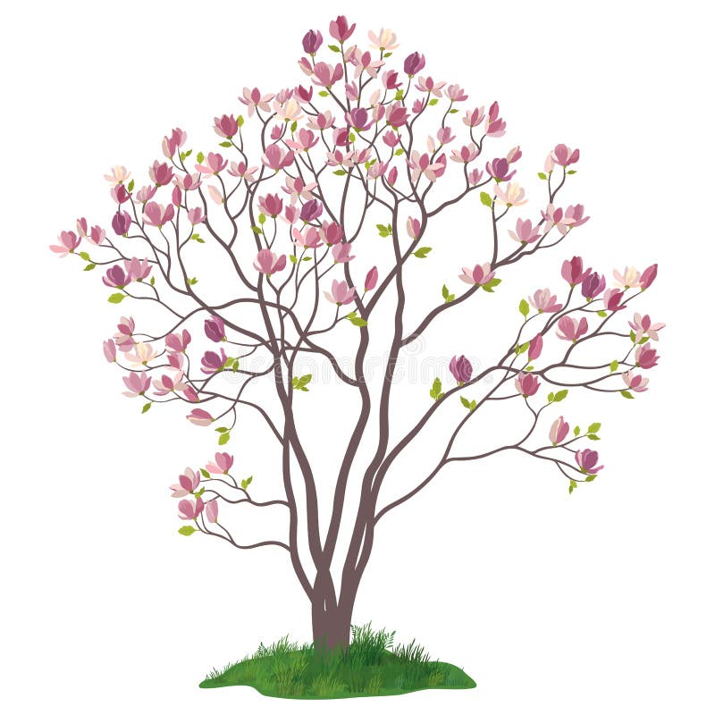Magnolia Tree Icon. Set of Silhouette of Tree Icons. Web Icons Premium ...