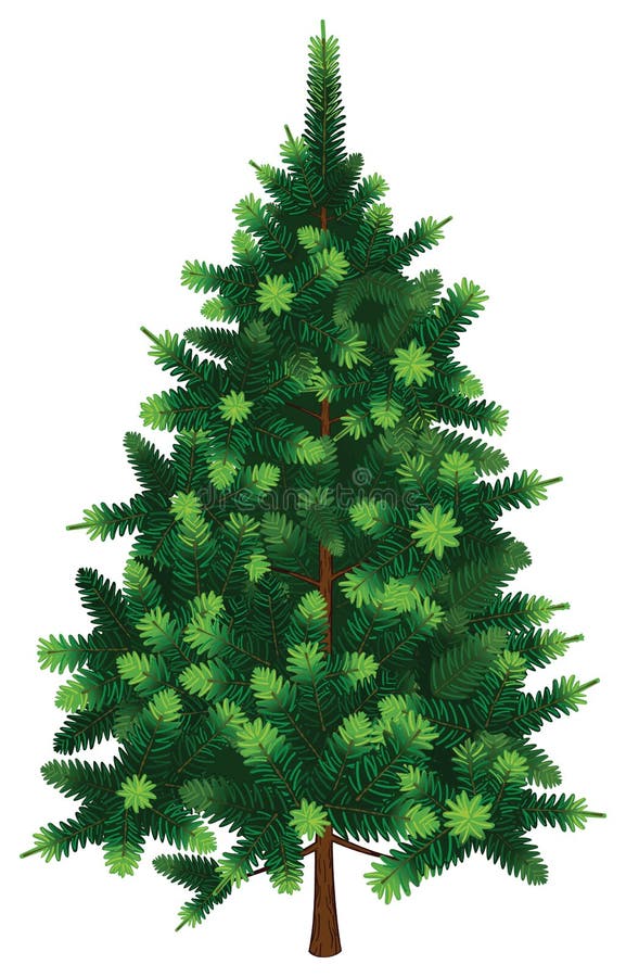 Sapin Stock Illustrations, Vecteurs, & Clipart – (212,465 Stock ...