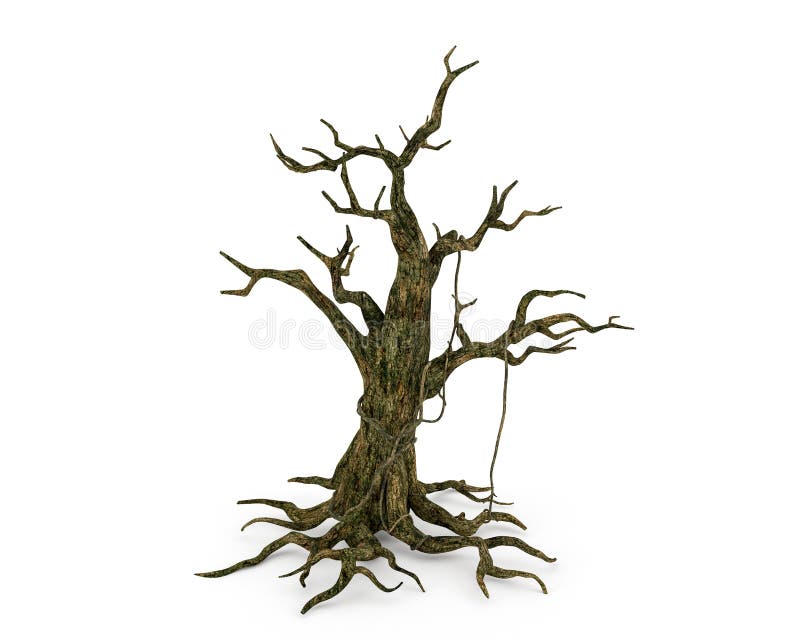 Arbre Mort Isolé Sur Fond Blanc Rendu 3d Illustration Stock ...