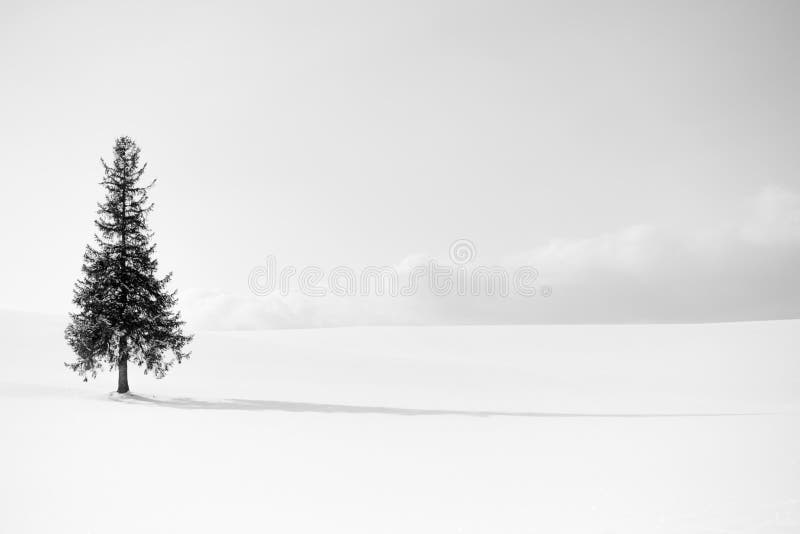 Arbre Noir Et Blanc Abstrait Photo stock - Image du simple, silhouette ...