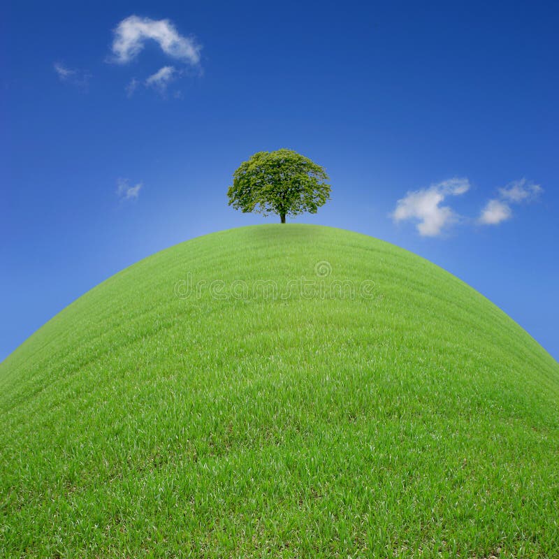 Arbre solitaire image stock. Image du coloré, environnement - 4950059