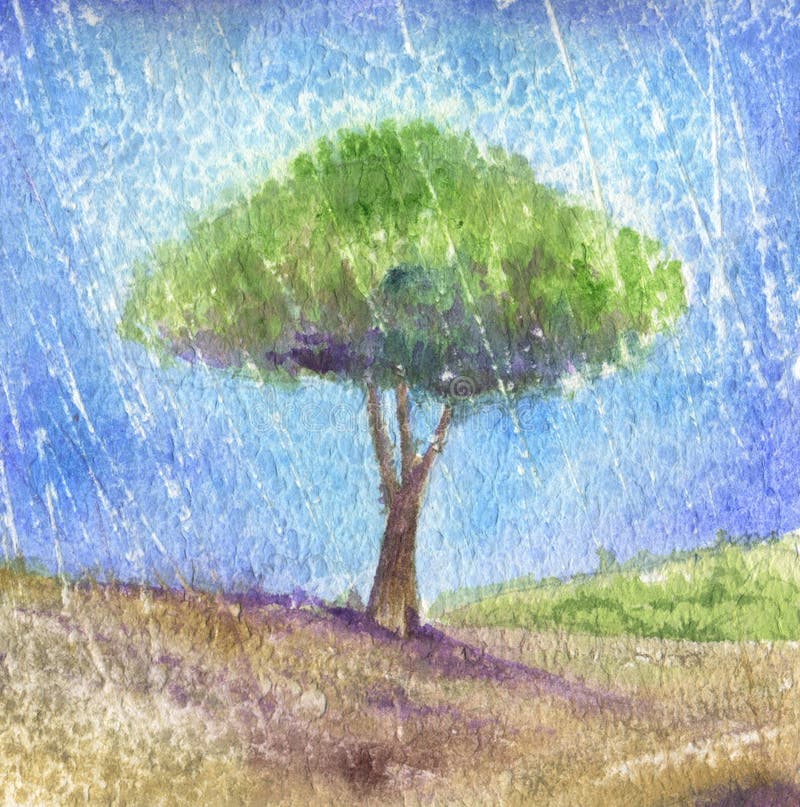 Arbre Sous La Pluie Aquarelle Illustration Stock Illustration Du