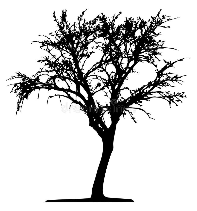 Arbre (vecteur) illustration de vecteur. Illustration du nature - 2644149