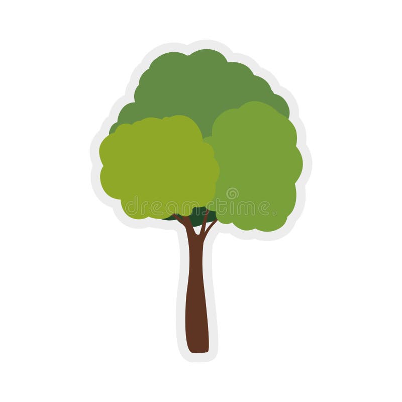 Arbre Vert De Graphisme Conception De Nature Dessin De Vecteur ...