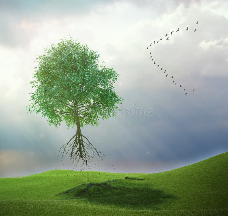 Arbre Volant Loin Avec Des Oiseaux Image stock - Image du loin, libre ...