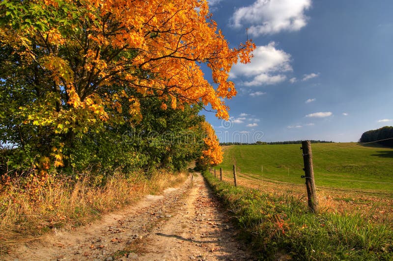 Arbres De Route Et D'automne De Campagne Image stock - Image du pays ...