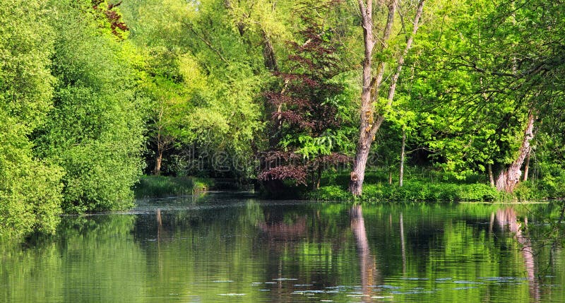 Arbres Et Lac Verts Image Stock Image Du Tranquillité 5178029