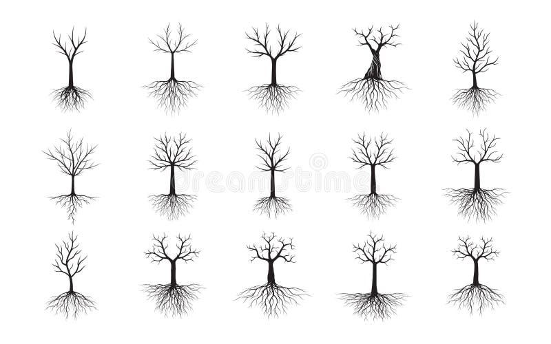 Ensemble Darbres Illustration Du Contour Vectoriel Plante Dans Le