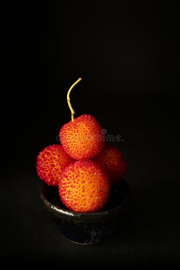 Madrone Tree Black Soot Leaves Stock Photos - Free & Royalty-Free Stock ...