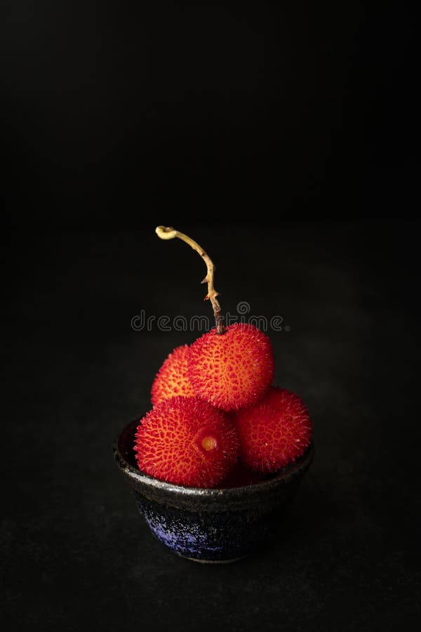 Madrone Tree Black Soot Leaves Stock Photos - Free & Royalty-Free Stock ...