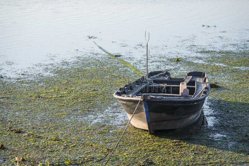 A Stranded Boat on the Coast. Stock Photo - Image of marine, ship ...
