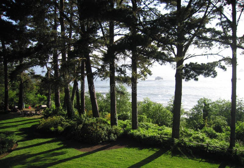 Arcata, CA stock photo. Image of summer, peaceful, arcata - 45347486