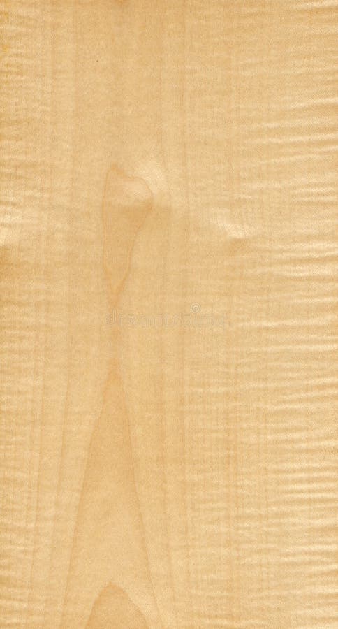 44,011 Textura De Madera Del Arce Fotos - Libres de Derechos y ...