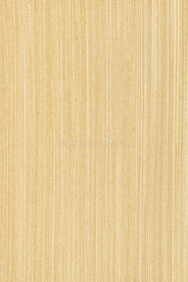 Arce (textura de madera) imagen de archivo. Imagen de tarjeta - 8109105