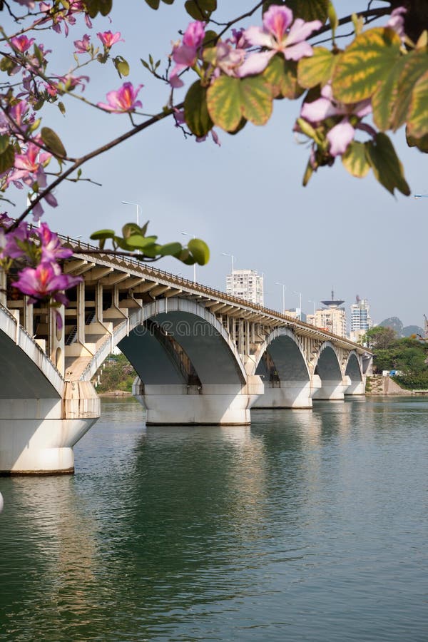 Arch bridge in spring stock image. Image of flower, spring - 30322643