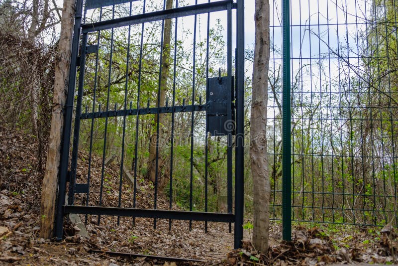Arch Creeper Plant Entrance Gate with Sunlight in the Garden. Magic ...
