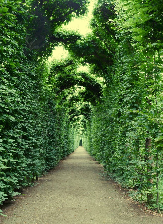Arch, Decorated with Plants Stock Image - Image of arbor, path: 31445649