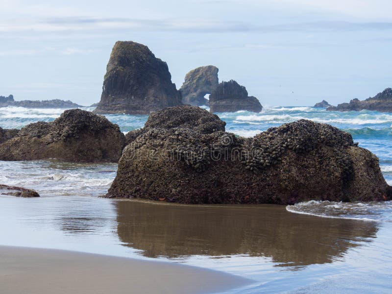 Arch, Ecola State Park, Oregon Stock Photo - Image of ocean, arch: 46965040