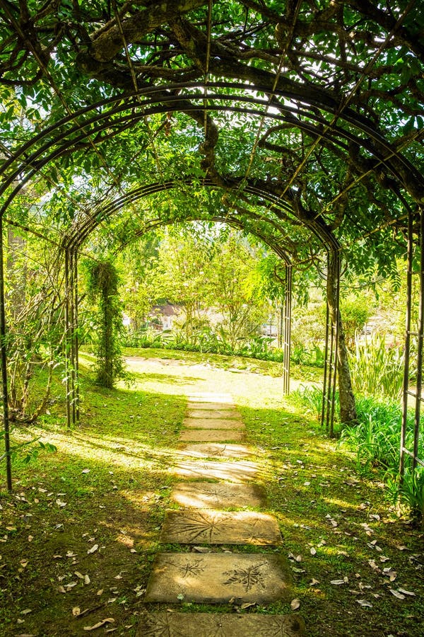 Arch Green Soft Natural Pathway Stock Image - Image of curve, climbing ...