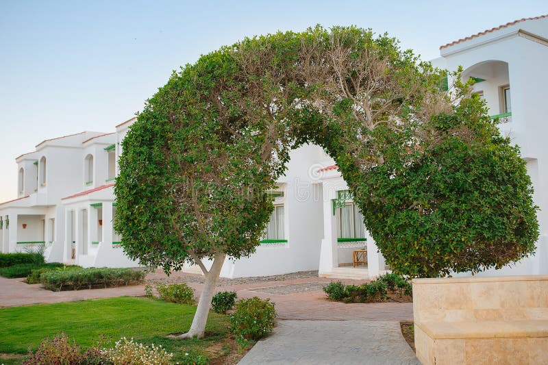 Arch through a Hedgerow in an English Garden Stock Photo - Image of ...