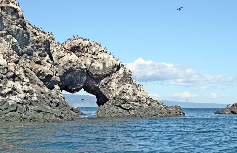 Arch at Gull Island stock photo. Image of pelagic, blue - 20837470