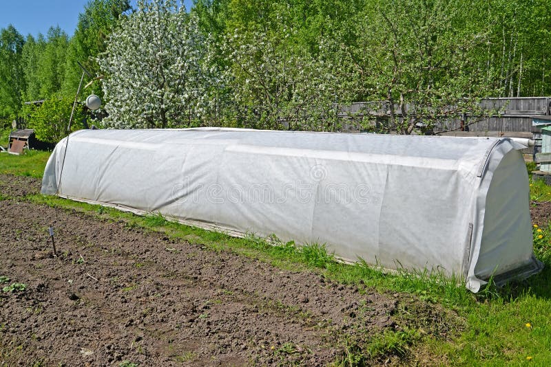 Arch Hotbed on the Seasonal Dacha in the Spring Stock Image - Image of ...