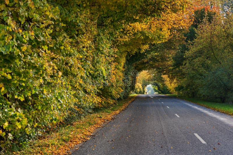 Arch over the road stock image. Image of magical, landscape - 235113641