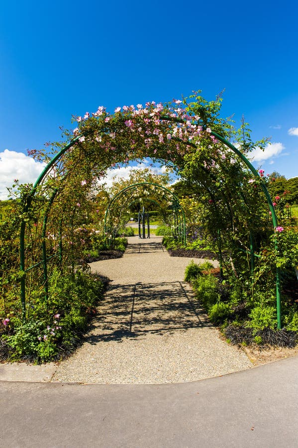Arch with Red Roses in the Garden Stock Photo - Image of path, garden ...