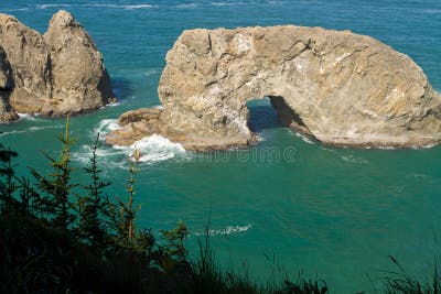 Arch rock, Oregon coast stock photo. Image of tree, coastline - 34676504