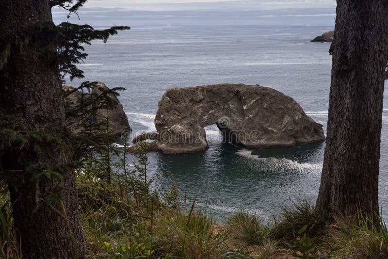 Arch Rock Pacific Ocean Oregon Coast United States Stock Image - Image ...