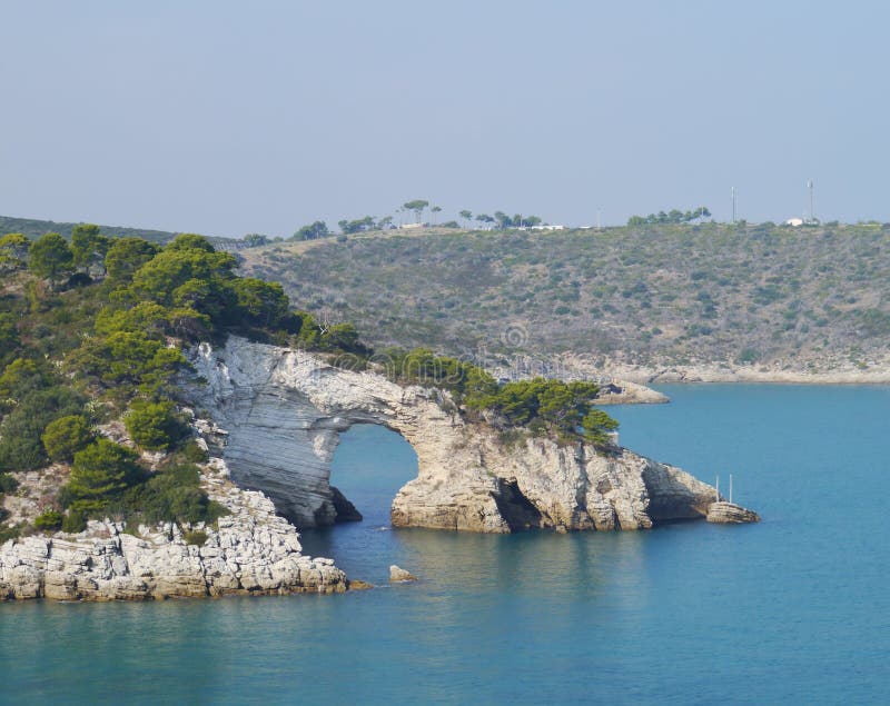An Arch in the Rocks of the Coast Stock Photo - Image of bushes, cliffs ...